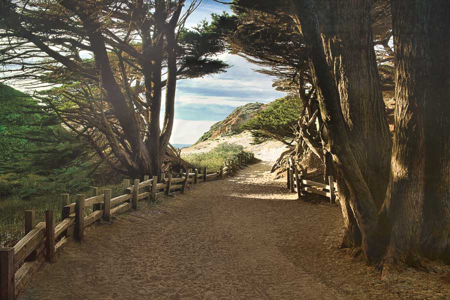 Big Sur by artist Michael Cahill – Indigenous Collection and CAP & Winn ...