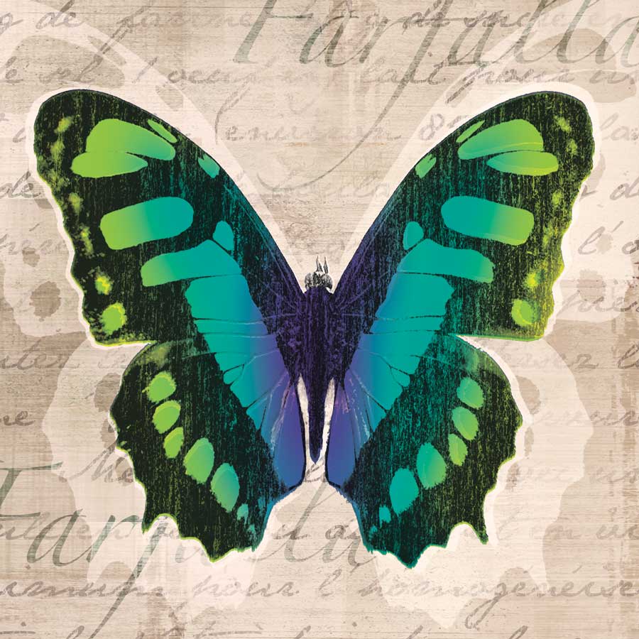 Butterflies II by artist Tandi Venter – Indigenous Collection and CAP ...