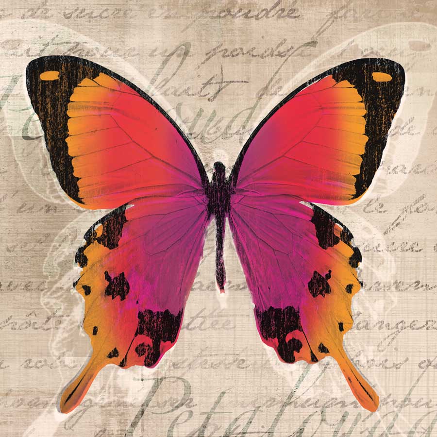 Butterflies III by artist Tandi Venter – Indigenous Collection and CAP ...