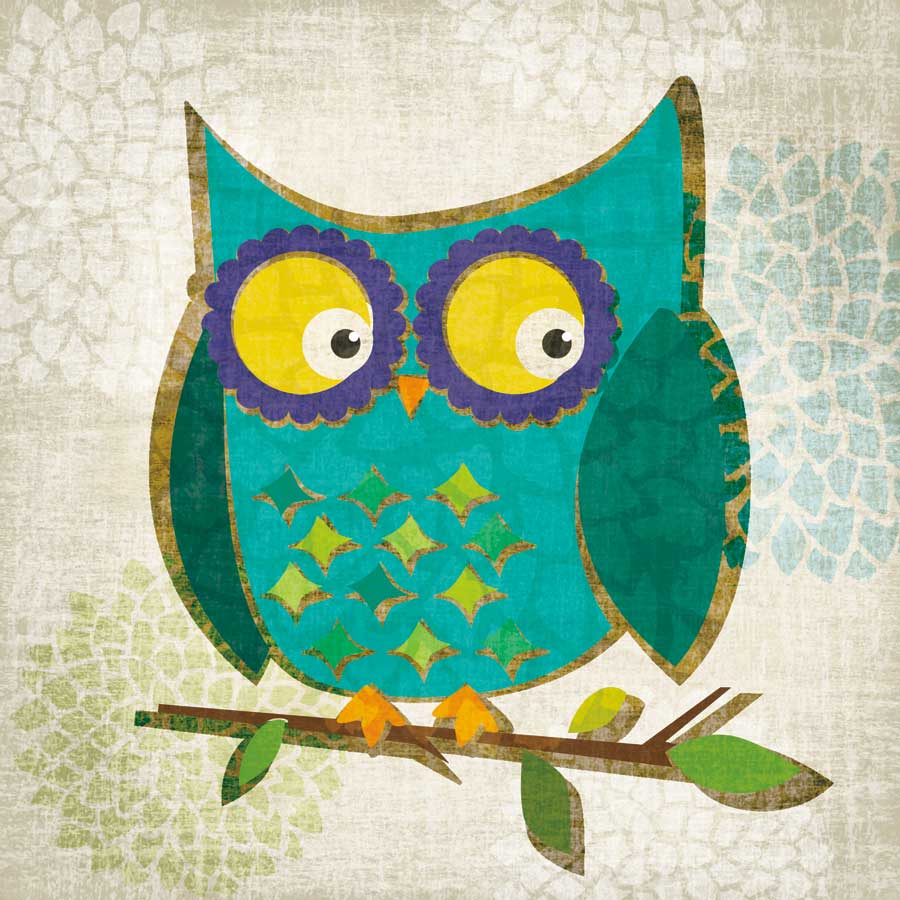 Who's Hoo I by artist Tandi Venter – Indigenous Collection and CAP ...