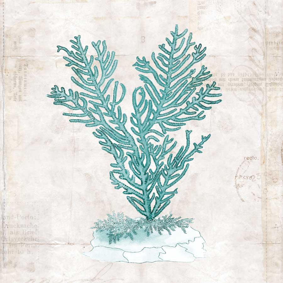 Under the Sea II by artist Sabine Berg – Indigenous Collection and CAP ...