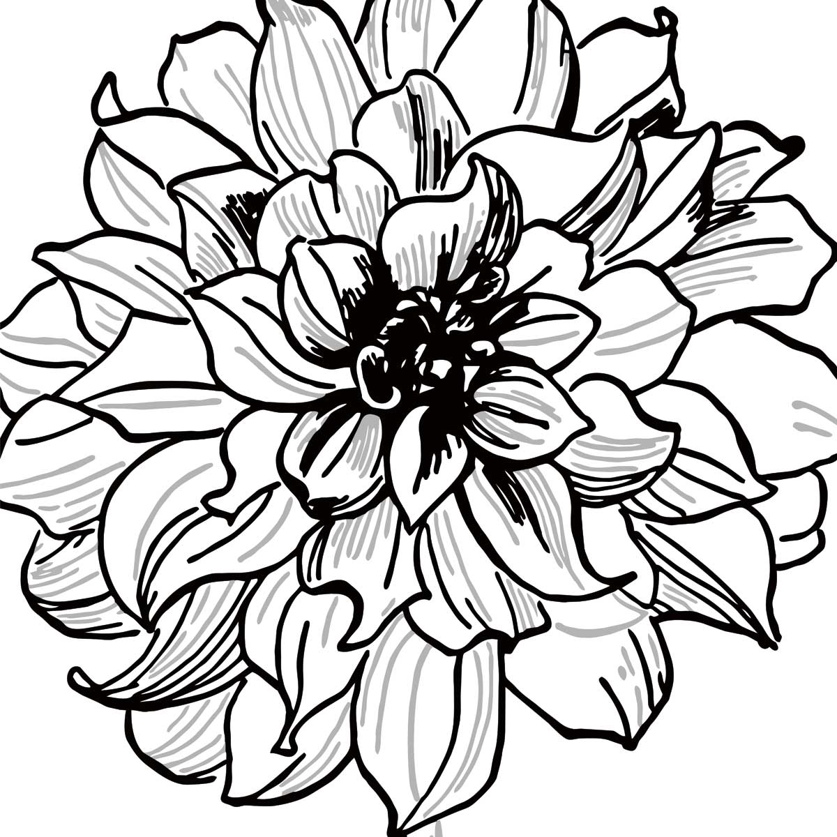 Floral Outlines III by artist Sabine Berg – Indigenous Collection and ...