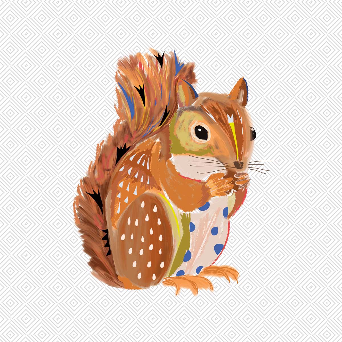Sweet Squirrel by artist Turnowsky – Indigenous Collection and CAP ...