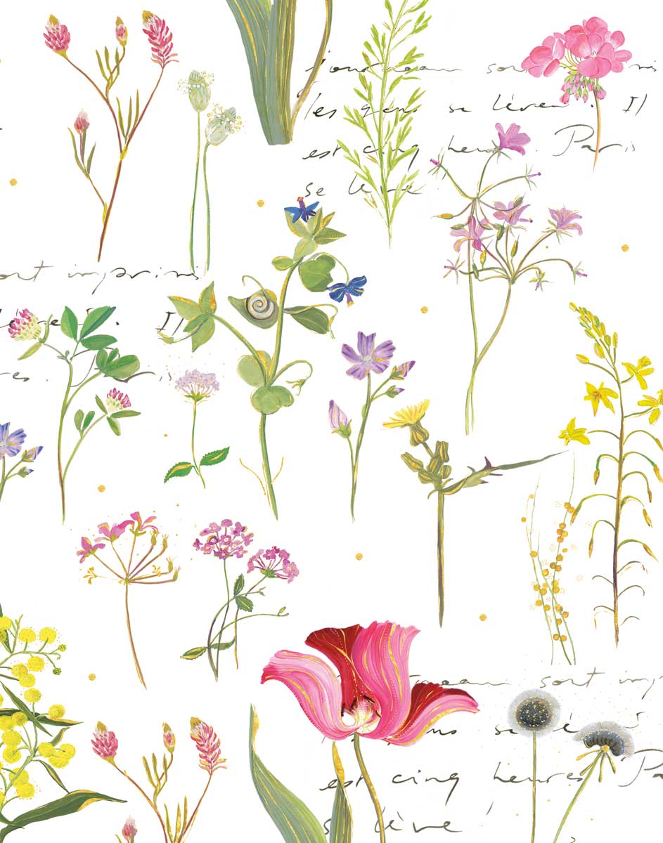 Delicate Flora II by artist Turnowsky – Indigenous Collection and CAP ...