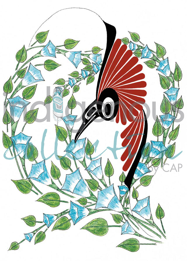 Hummingbird by artist Danny Dennis – Indigenous Collection and CAP ...