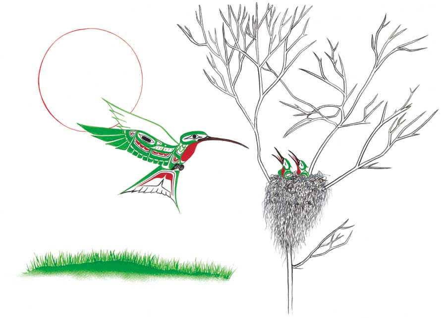 Hummingbird Nest – Indigenous Collection and CAP & Winn Devon