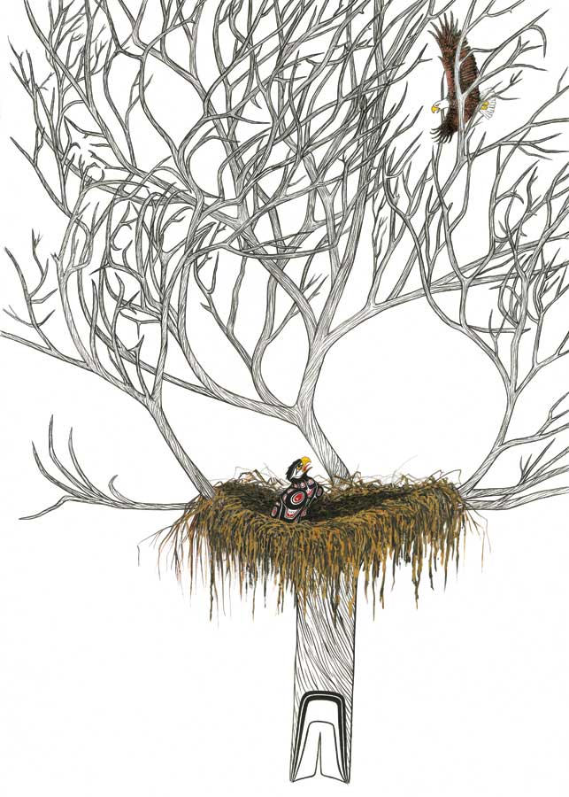 Eagle's Nest – Indigenous Collection and CAP & Winn Devon