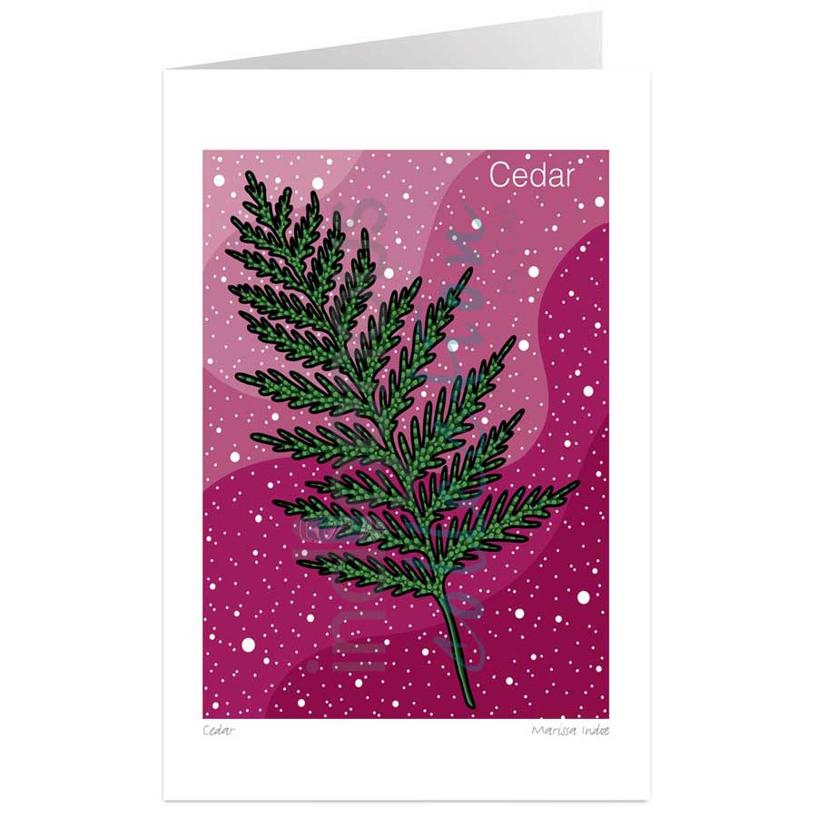Cedar by artist Marissa Indoe – Indigenous Collection and CAP & Winn Devon