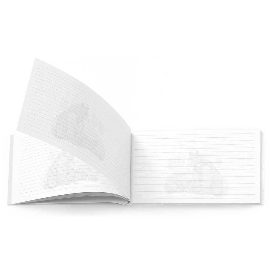 Aurora Borealis Bears Signature Notebook by artist Carla Joseph ...