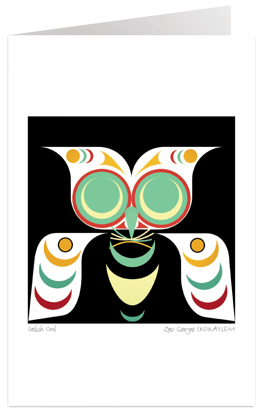 Salish Owl by artist Zac George SKOKAYLEM – Indigenous Collection and ...