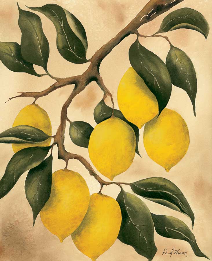 Italian Harvest - Lemons by artist Doris Allison – Indigenous ...