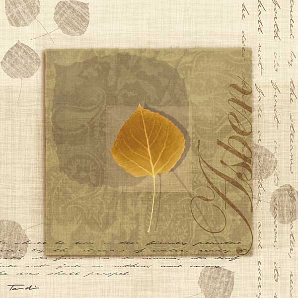 Aspen by artist Tandi Venter – Indigenous Collection and CAP & Winn Devon