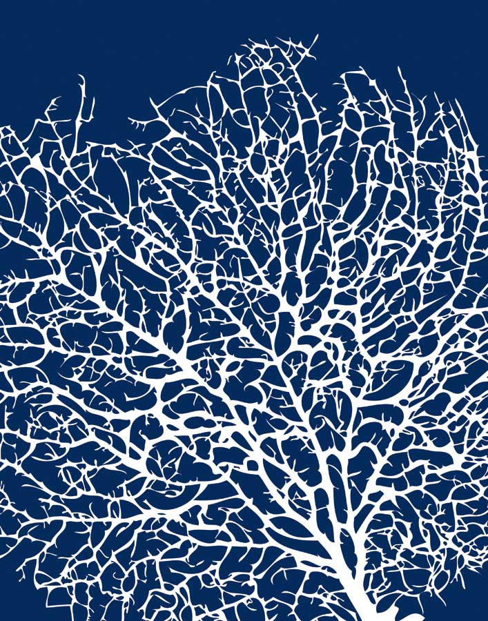 Navy Coral I by artist Sabine Berg – Indigenous Collection and CAP ...
