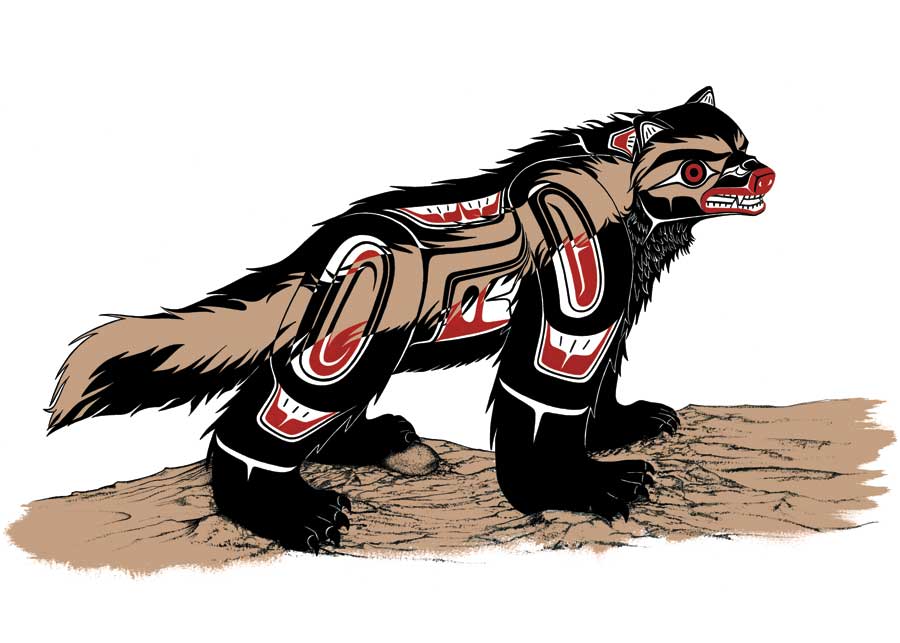 Territorial Wolverine – Indigenous Collection and CAP & Winn Devon