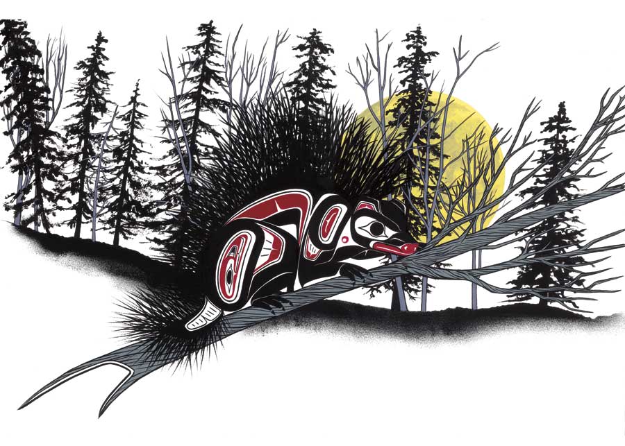 Porcupine - Wind Tall – Indigenous Collection and CAP & Winn Devon