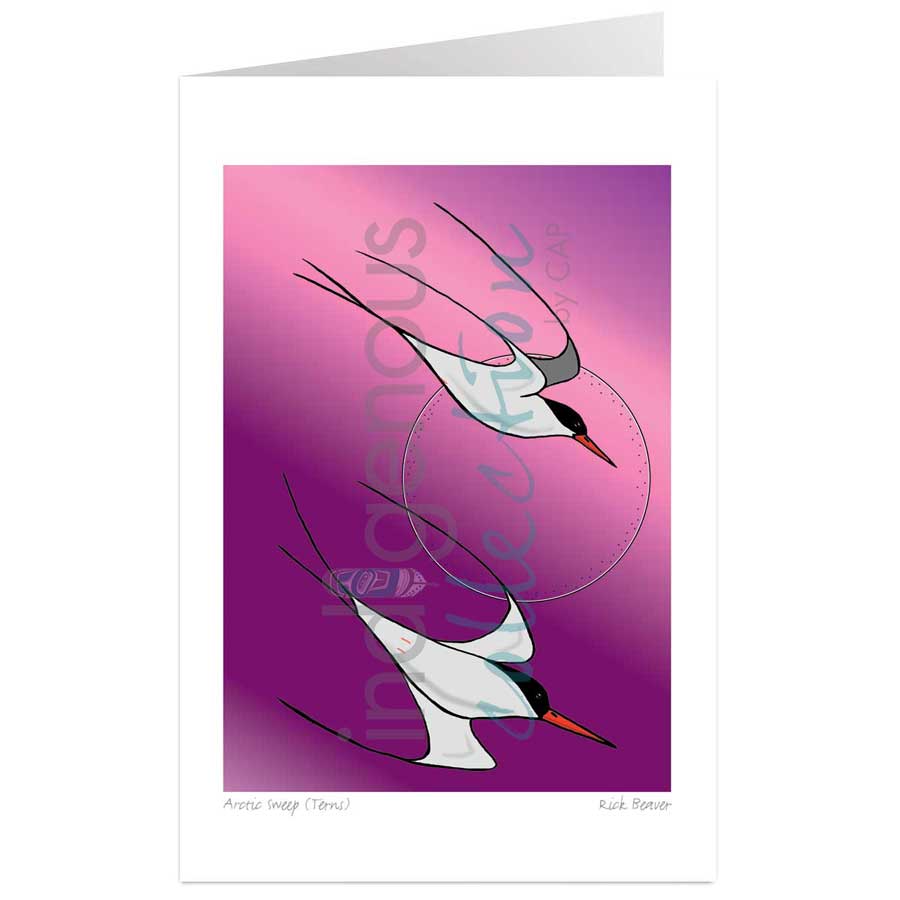 Arctic Sweep (Terns) by artist Rick Beaver – Indigenous Collection and ...