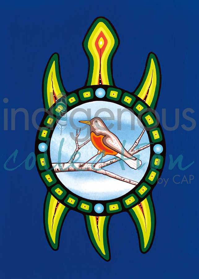 Bird Clan by artist Jeffrey Red George – Indigenous Collection and CAP ...