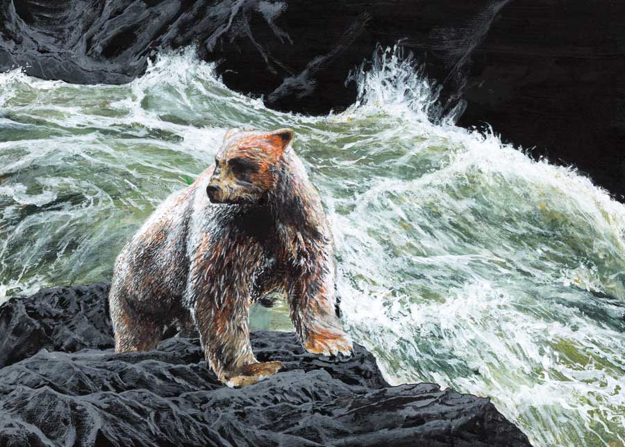 Spirit Bear – Indigenous Collection and CAP & Winn Devon