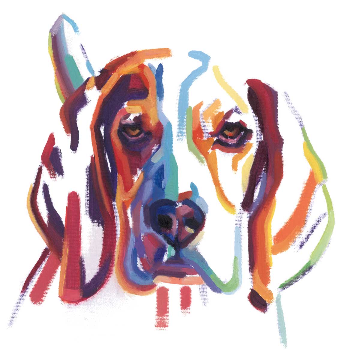 Beagle by artist Andrew Talbot – Indigenous Collection and CAP & Winn Devon