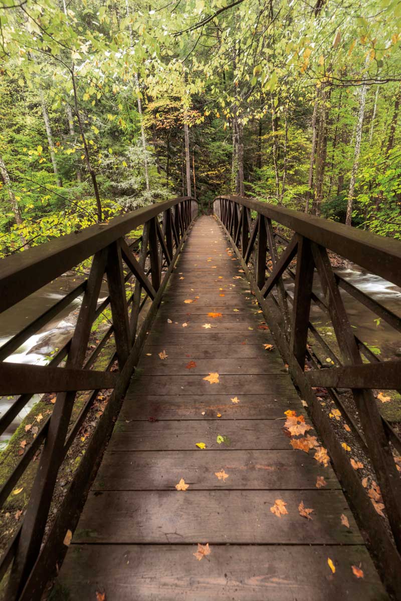 Autumn's Bridge by artist D. Burt – Indigenous Collection and CAP ...