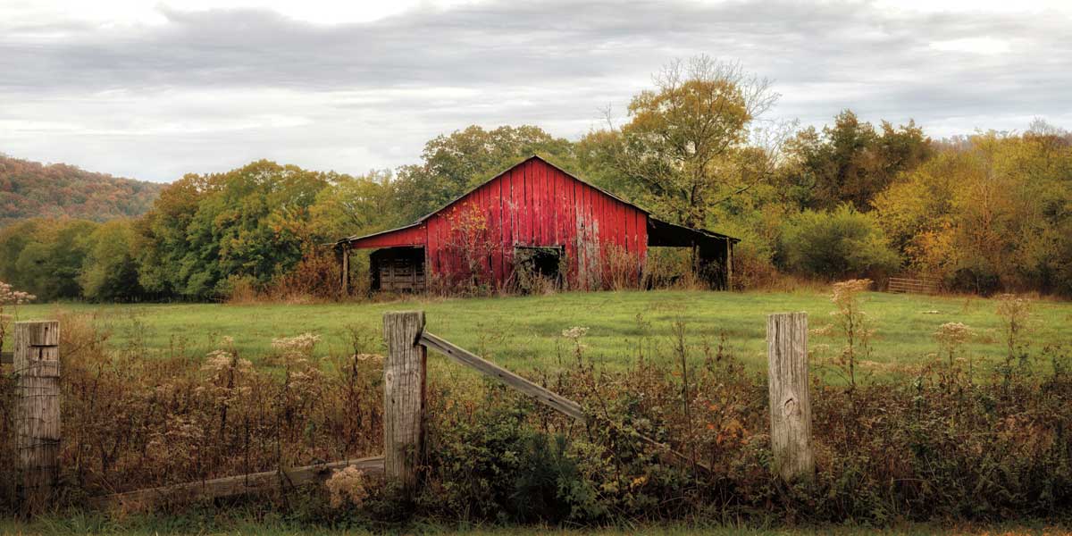Down on the Farm by artist D. Burt – Indigenous Collection and CAP ...