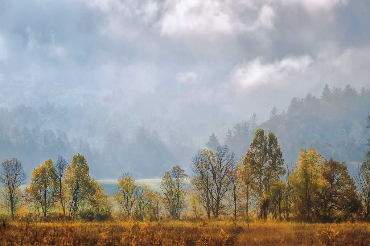 Lifting Fog by artist D. Burt – Indigenous Collection and CAP & Winn Devon