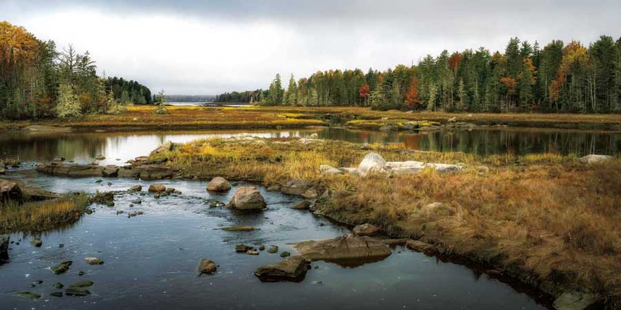 Low Tide by artist D. Burt – Indigenous Collection and CAP & Winn Devon