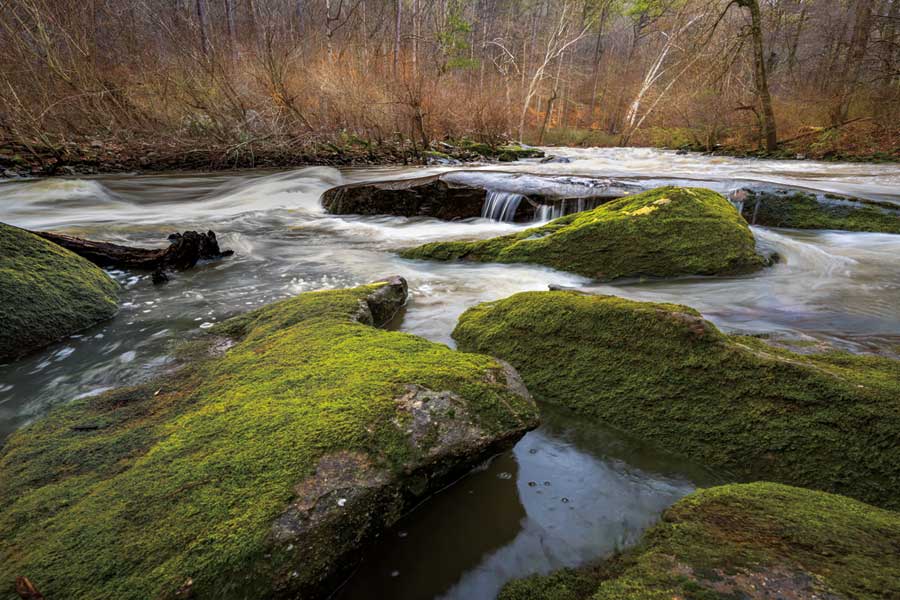 Moving Creek by artist D. Burt – Indigenous Collection and CAP & Winn Devon