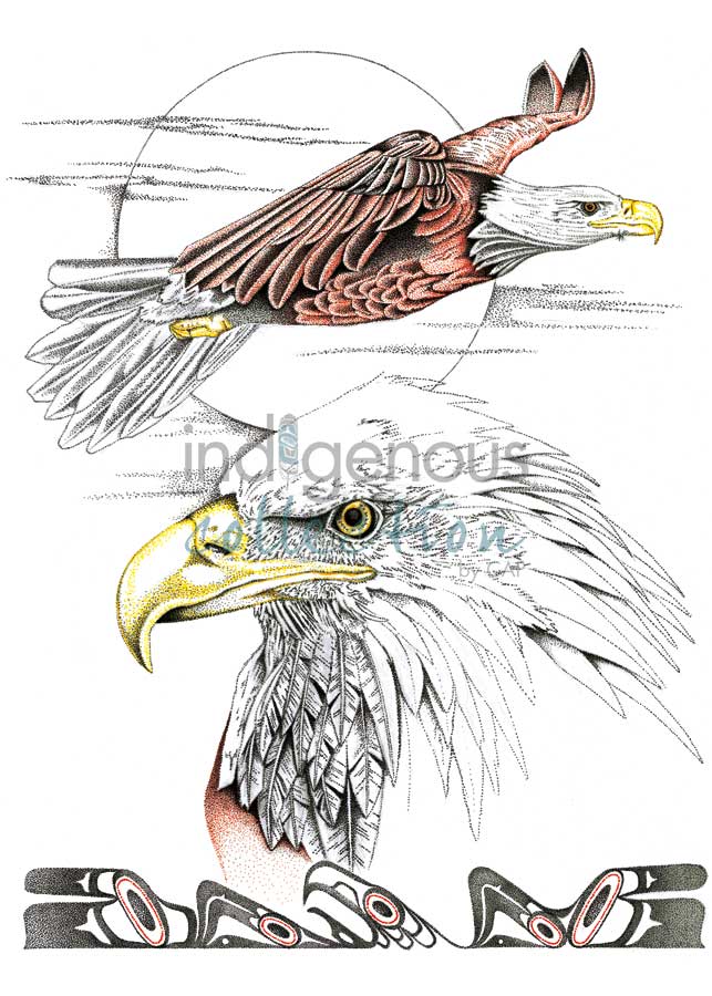 Flying with the Wind by artist Charles Silverfox – Indigenous ...